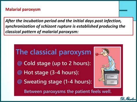 Plasmodium Spp Pptx