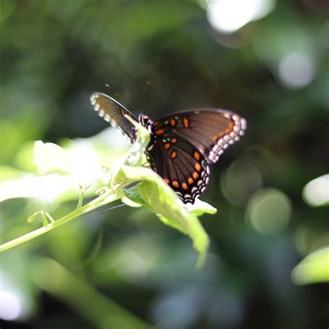 Winterbottom Photo Youtube