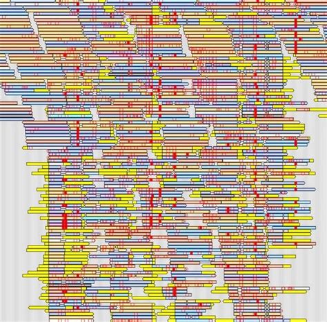 Screenshot Of JVarKit BamToSVG