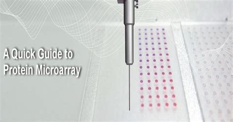 a quick guide to protein microarray aurora biomed