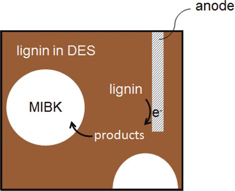 Schematic Representation Of The Electrochemical Depolymerization Of
