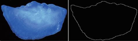 original image left and the polygonal approximation right