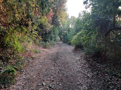 Μονοπατια στο ΑΓΙΟ ΟΡΟΣ Added A Μονοπατια στο ΑΓΙΟ ΟΡΟΣ