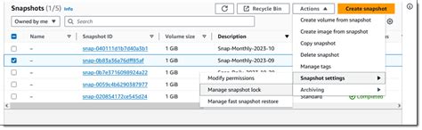 New Amazon Ebs Snapshot Lock The Nas Guy