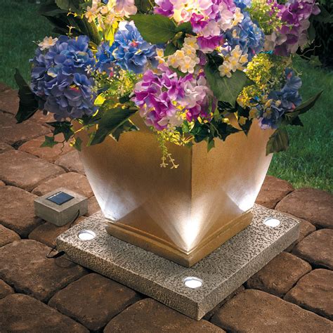 Solar Light Up Planter Base The Green Head