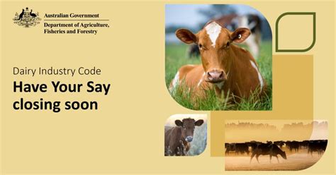 The Dairy Industry Code Have Your Say Consultation Has Been Extended