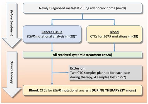 Ijms Free Full Text Circulating Egfr Mutations In Patients With Lung Adenocarcinoma By