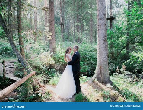 Beautiful Young Married Couple Standing Embracing In The Forest Stock
