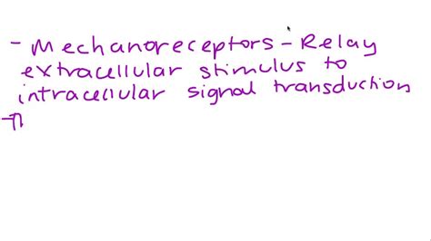 Solved Name The 5 Receptor Types And Their Adequate Stimulus