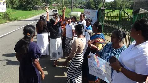 සිසුන්ට පොලිතින් කැවූ විදුහල්පති යළි ඉල්ලා උද්ඝෝෂණයක් ඡායාරූප Dasatha Lanka News