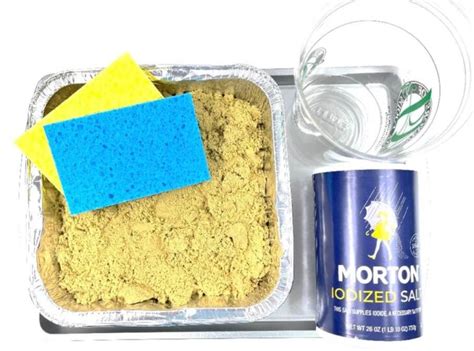 Easy Fossil Experiment For 3rd Grade Around The Kampfire