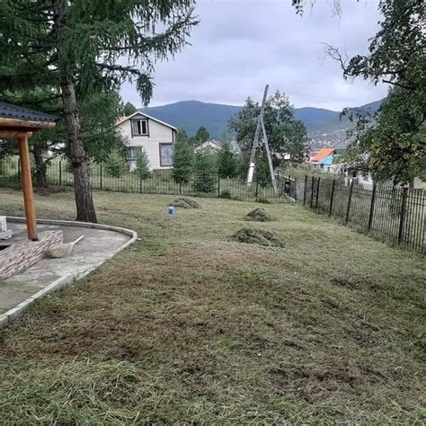 Зуслангийн хашааны өвс хадна