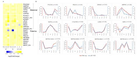 Transcriptome Analysis Of In Vitro Fertilization And Parthenogenesis Activation During Early