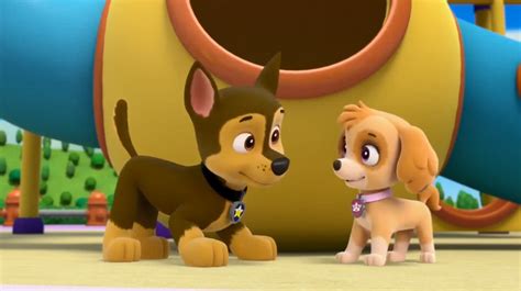 Paw Patrol S1 E21 Chase Skye By Geedirosso On Deviantart