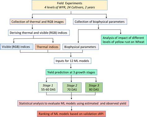 Flow Chart Describing Overview Of The Methodology Wyr Wheat Yellow