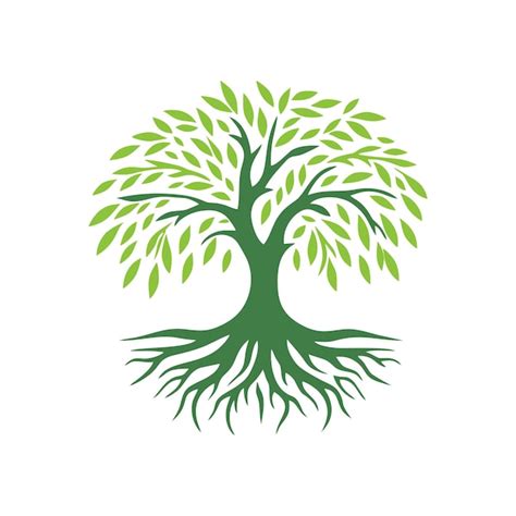 Premium Vector Root Tree Logo Vector Root Of The Tree Vector Logo Symbol Illustration Design