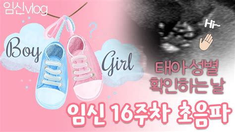 임신vlog 첫 아기 초음파 16주차 영상 · 태아 성별확인 Youtube