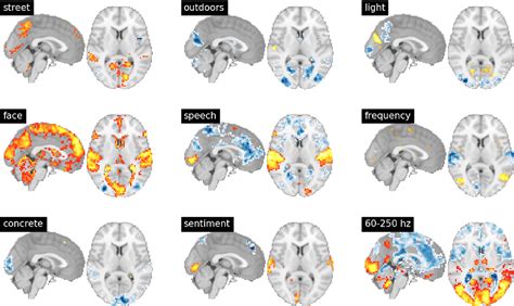 Developing A Comprehensive Framework For Multimodal Feature Extraction