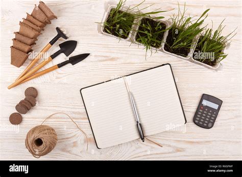 Gardening Tools And Seedlings Stock Photo Alamy