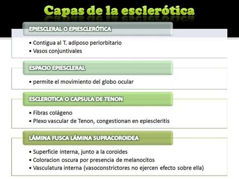 Epiescleritis Y Escleritis Pptx