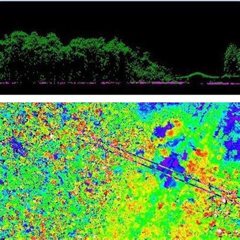 Pdf Multi Temporal Airborne Lidar Survey And Field Measurements Of Tropical Peat Swamp Forest