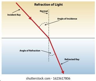 40 Diagram Of Refraction
