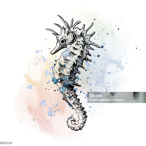 수채화 줄무늬와 물보라의 배경에 해마 그래픽 기법으로 손으로 그린 격리된 개체 여름 해상 및 해변 장식 및 디자인에 대한 그림