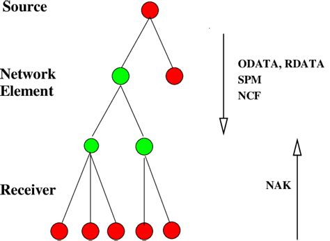 Data Packets Defined In PGM Download Scientific Diagram