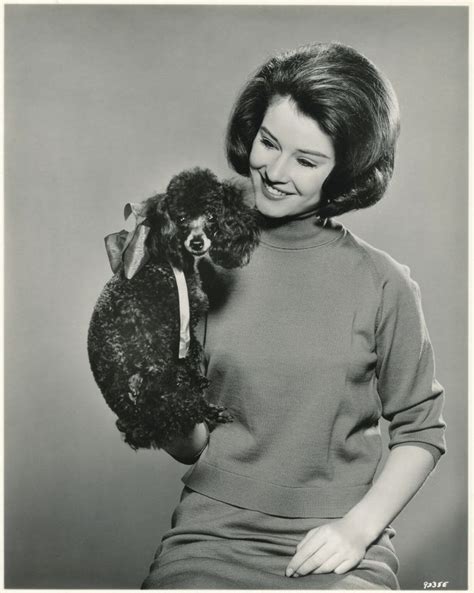 Diane Baker Born 1938 With A Poodle Diane American Actress Actresses