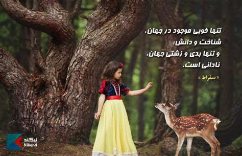 جملات زیبا در مورد علم و دانش بهترین سخنان کوتاه درباره علم و دانش