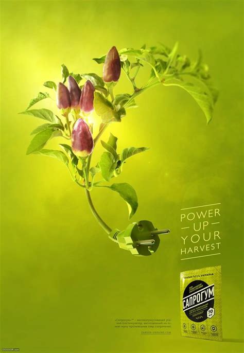 매일 보고 느끼고 배우고 창의적인 광고포스터