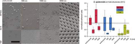 Bacterial Retention On Micron And Submicron Scaled Hole Structures Download Scientific Diagram