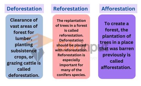 Difference Between Deforestation Reforestation And Afforestation
