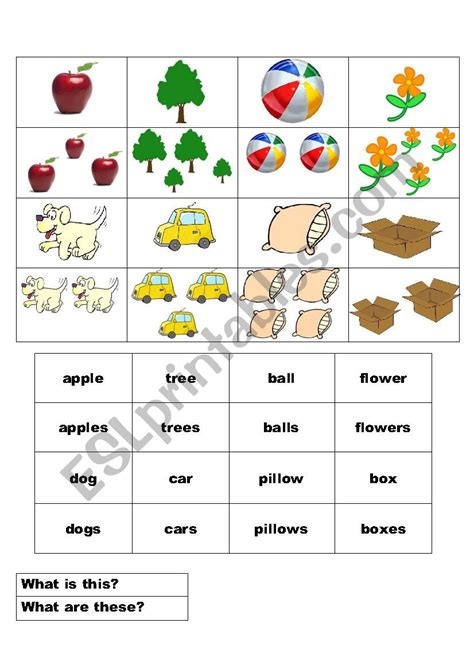 Singular Plural Nouns Match With Pictures Esl Worksheet By Joannaloua