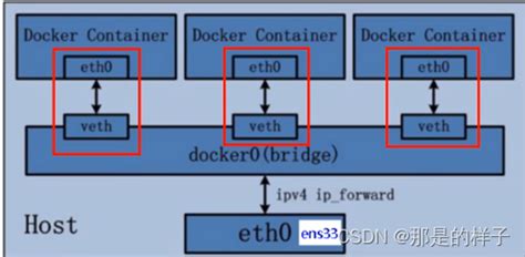 【docker】——network Docker Run Network Csdn博客