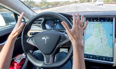 Warning Sex And Driverless Cars Are Not A Good Mix Uk