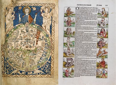 Inquires Of Our Reality Introduction To The Plinian Races