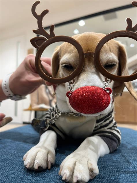 新入生オリエンテーション開催！ Eco Note