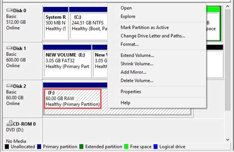Recover Data From Raw File System Raw Partition And Raw Drive Efficiently
