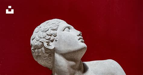 그리스 남성 동상은 붉은 배경에서 올려다 봅니다 사진 Unsplash의 무료 카라 라 이미지