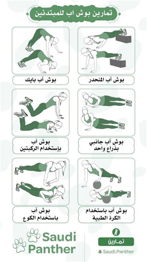 تمارين بوش اب للمبتدئين