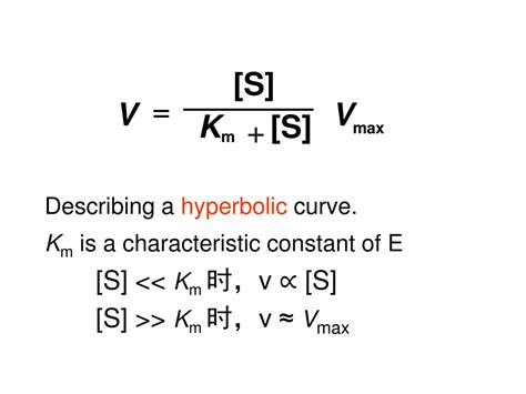 Ppt Chapter 2 Enzyme Powerpoint Presentation Free Download Id3561286