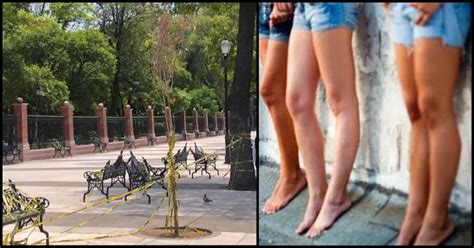 Queretaro Sex Workers Continue To Offer Services Around Alameda Hidalgo