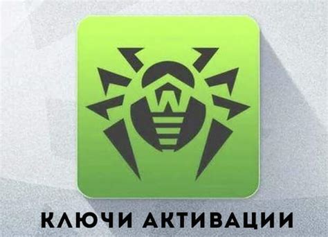 Свежие файл лицензии и ключи для Dr Web на Windows и Android Компьютеры и Интернет