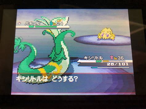 【ポケモンgo】バチュルの色違い、 入手方法と実装状況 攻略大百科