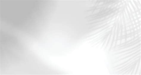 Leaf Shadow Background Vector Art Icons And Graphics For Free Download