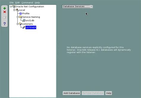 Herramienta Net Manager En Oracle