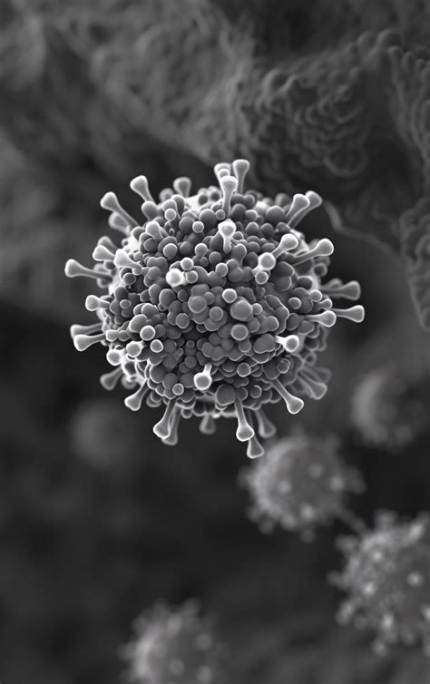 Download Virus Electron Microscope Cell Royalty Free Stock