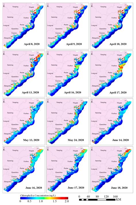 The Estimated Chl A Concentration And Variation Using The Lightgbm Case