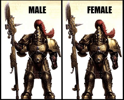 An Informative Chart To Help Telling The Difference Between Male